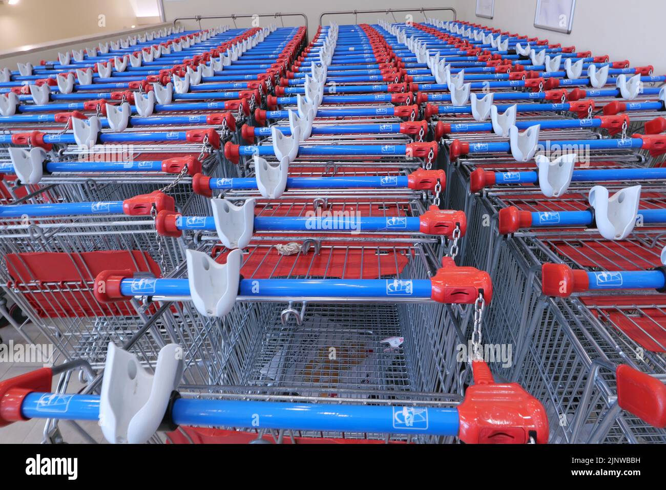 SHOPPING CARTS LINED UP INSIDE THE FOOD MEGA STORE Stock Photo - Alamy