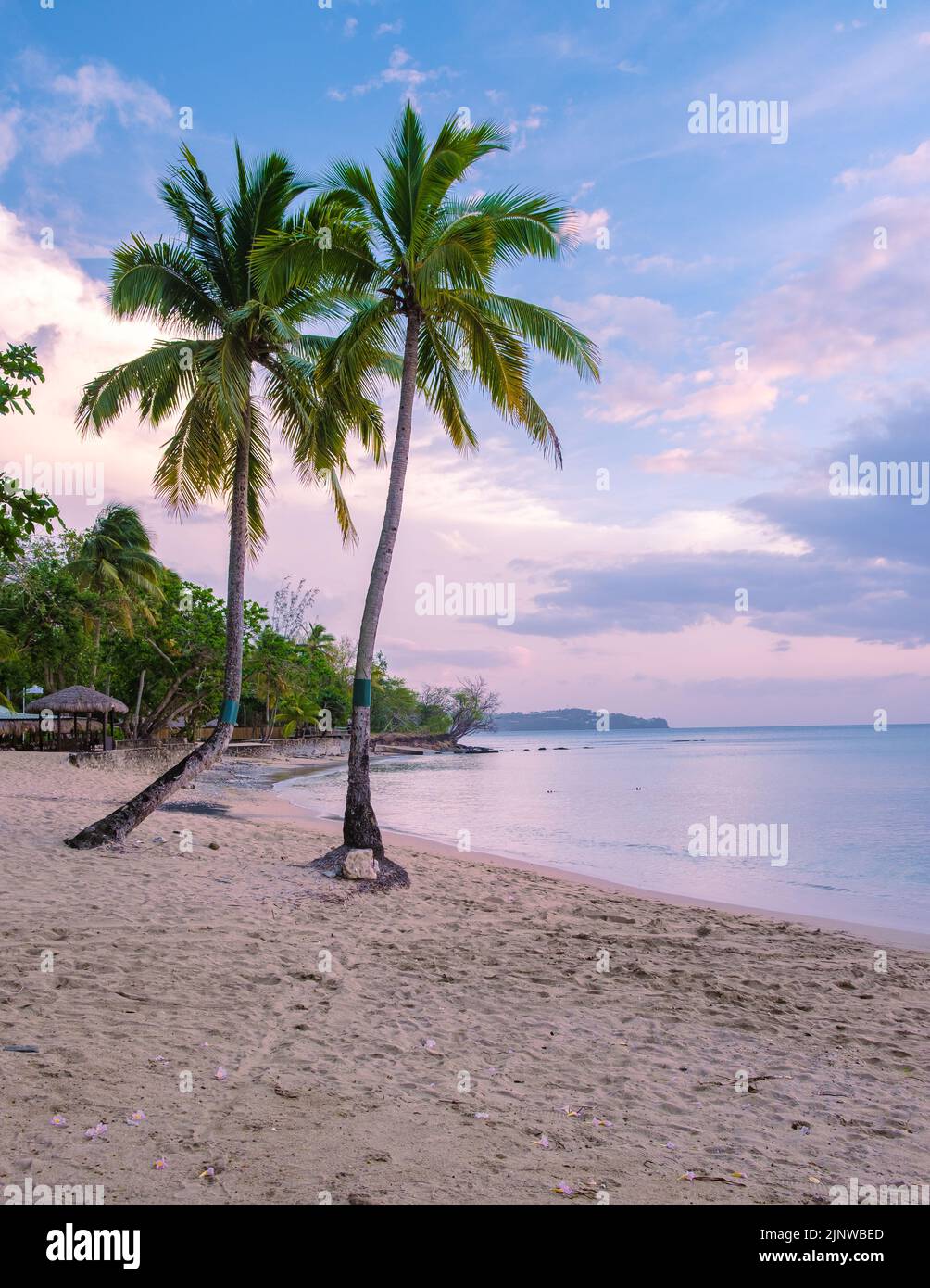 sunset on the beach with palm trees watching the sunset at the tropical ...