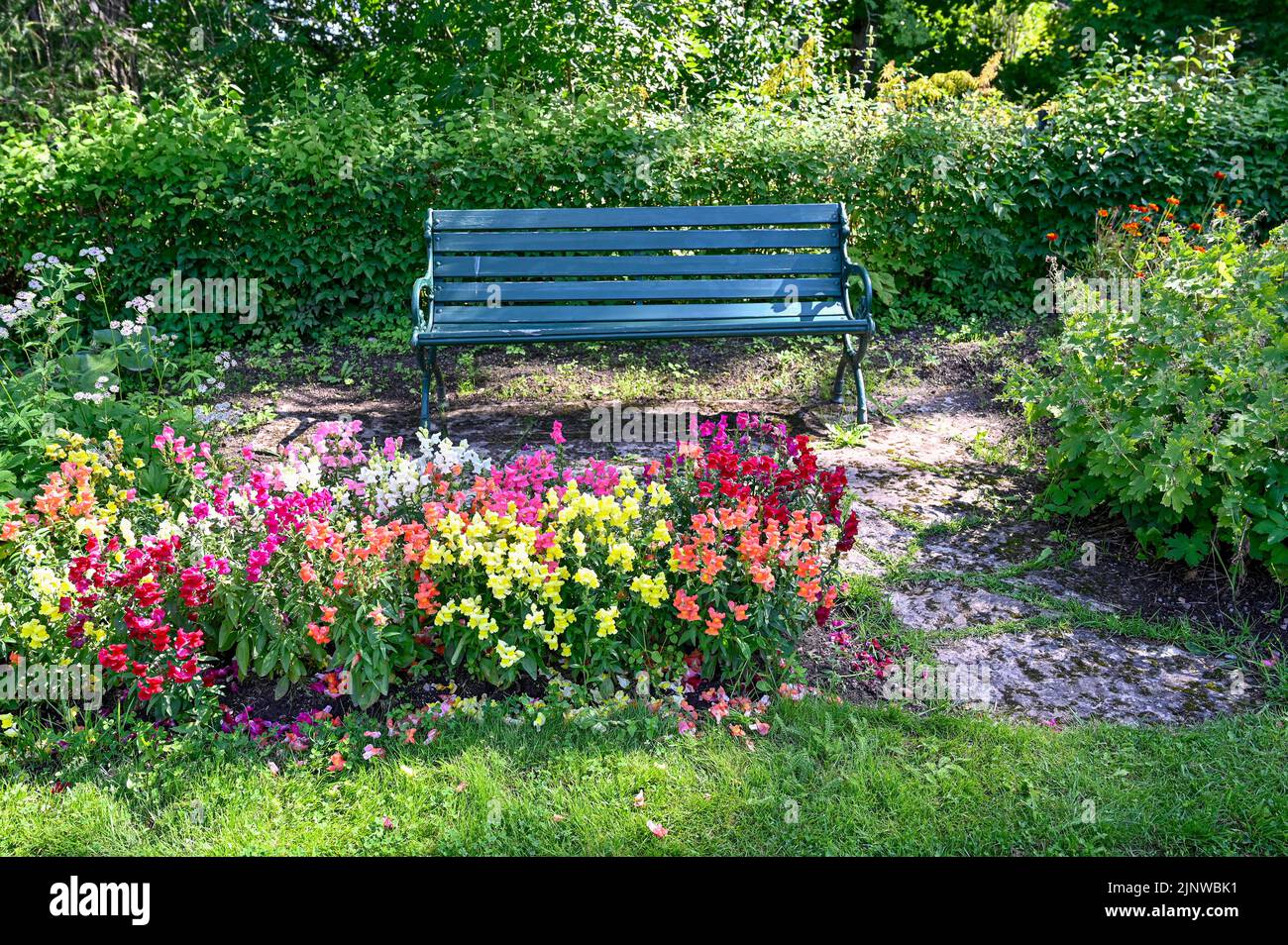 green bench standing in a shaded area in garden Stock Photo - Alamy