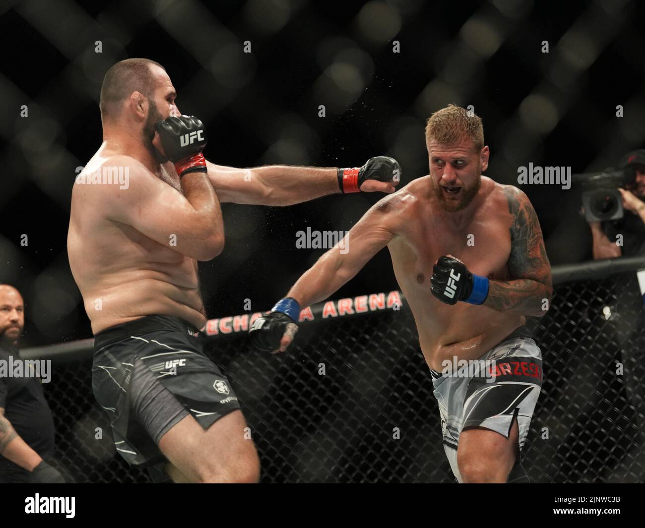 Martin buday hi-res stock photography and images - Alamy