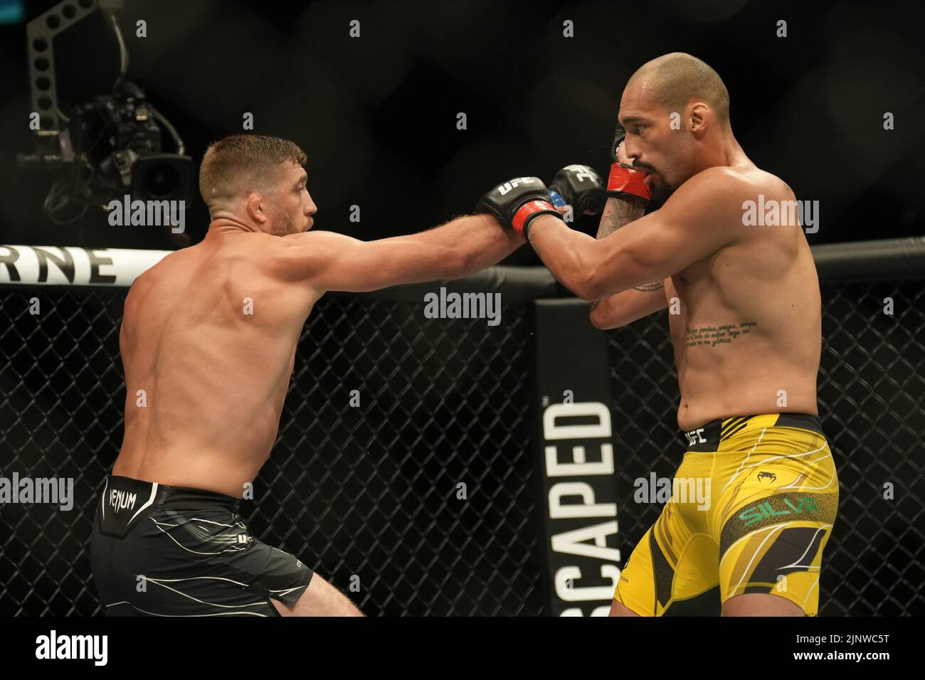 SAN DIEGO, CA - AUGUST 13: (L-R) Gerald Meerschaert punches Bruno Silva ...