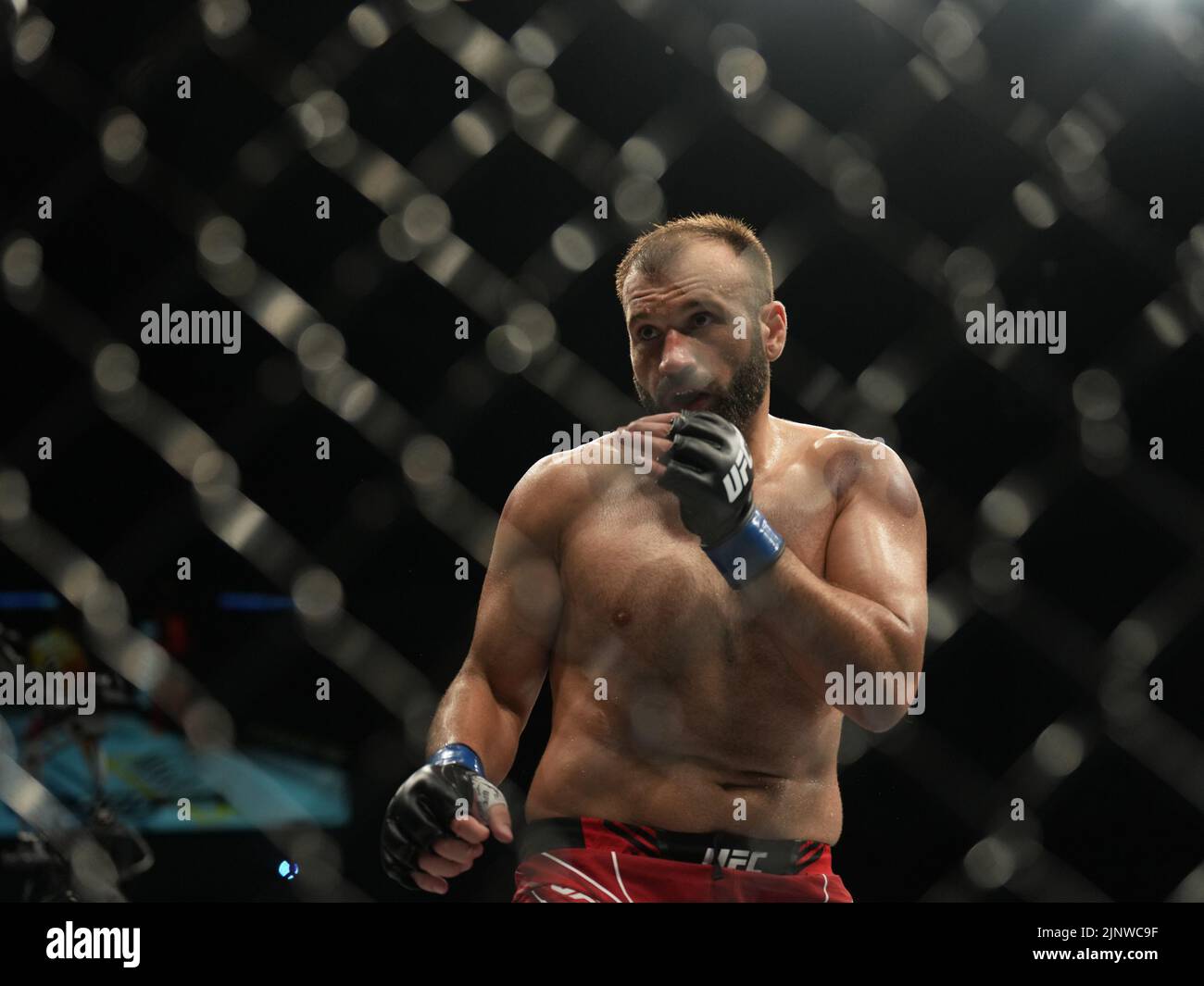 Murzakanov hi-res stock photography and images - Alamy