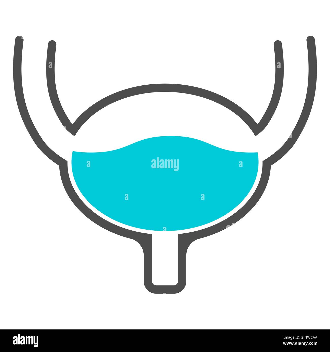 Urology health human icon, anatomy medical body bladder sign, biology ...