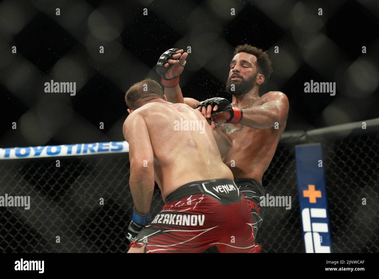 SAN DIEGO, CA - AUGUST 13: (L-R) Azamat Murzakanov punches Devin Clark ...