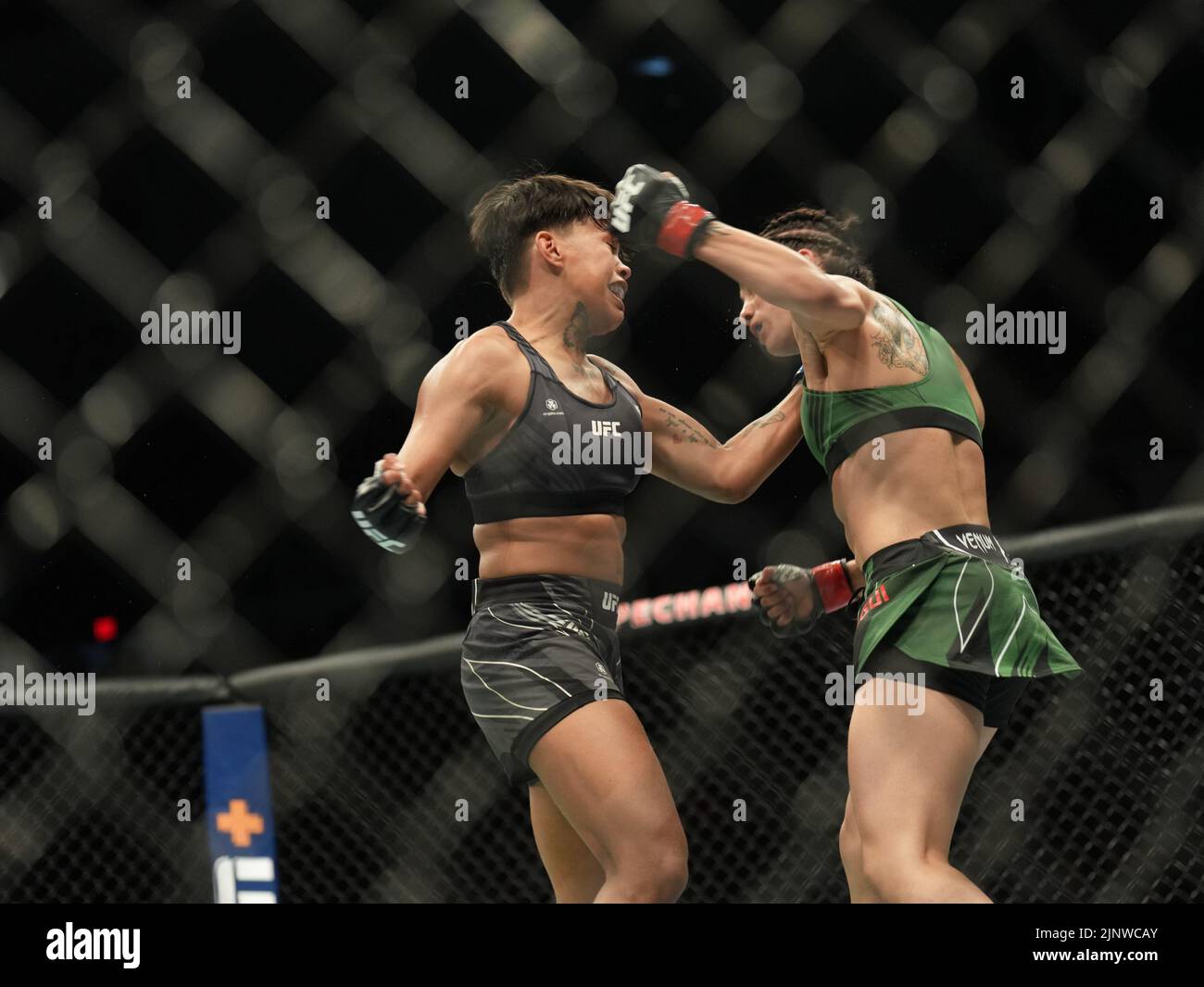 SAN DIEGO, CA - AUGUST 13: (R-L) Yazmin Jauregui battles Iasmin Lucindo ...