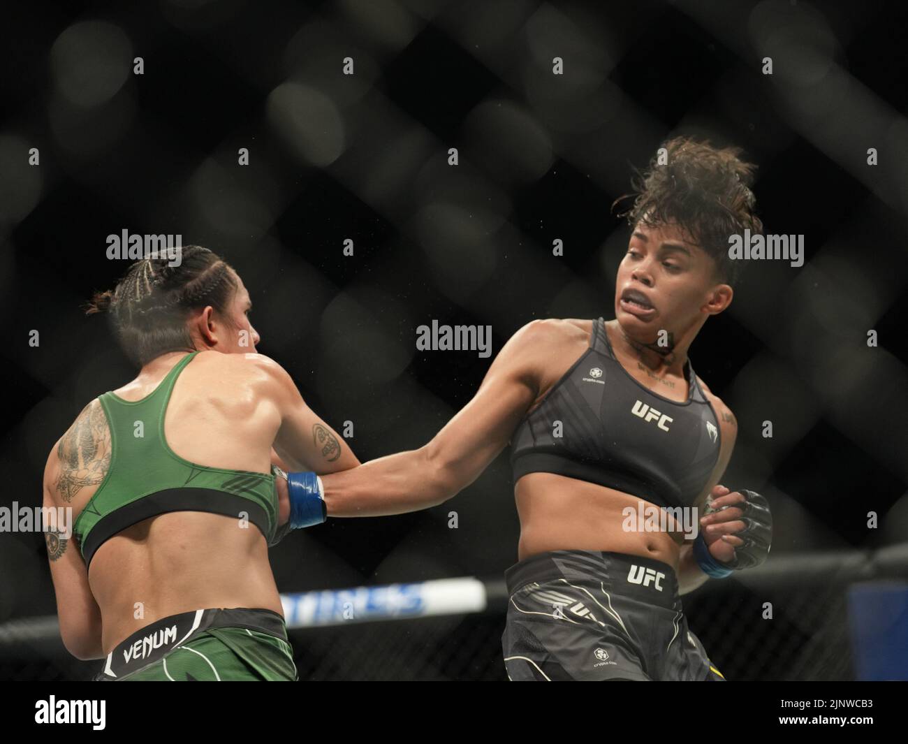 SAN DIEGO, CA - AUGUST 13: (R-L) Iasmin Lucindo punches Yazmin Jauregui ...