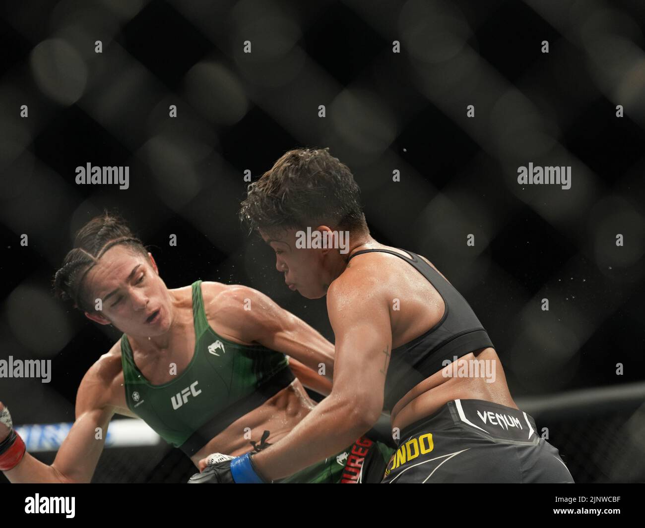 SAN DIEGO, CA - AUGUST 13: (L-R) Yazmin Jauregui battles Iasmin Lucindo ...