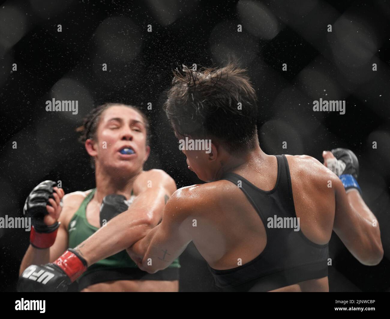 Iasmin lucindo hi-res stock photography and images - Alamy