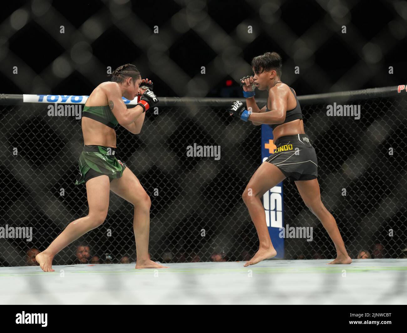 Iasmin lucindo hi-res stock photography and images - Alamy