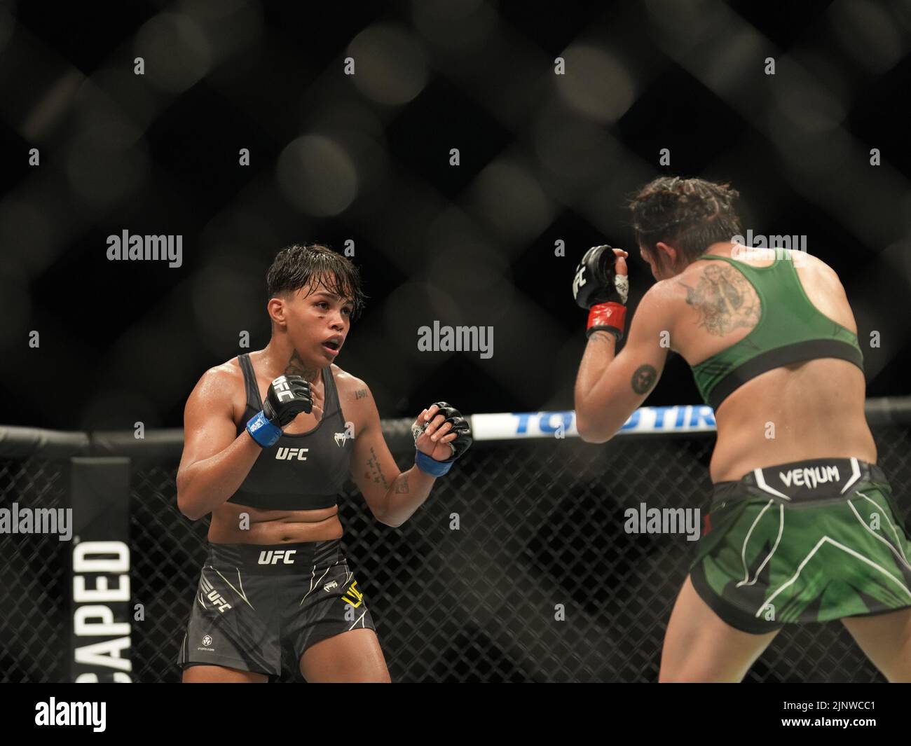 SAN DIEGO, CA - AUGUST 13: (R-L) Yazmin Jauregui battles Iasmin Lucindo ...