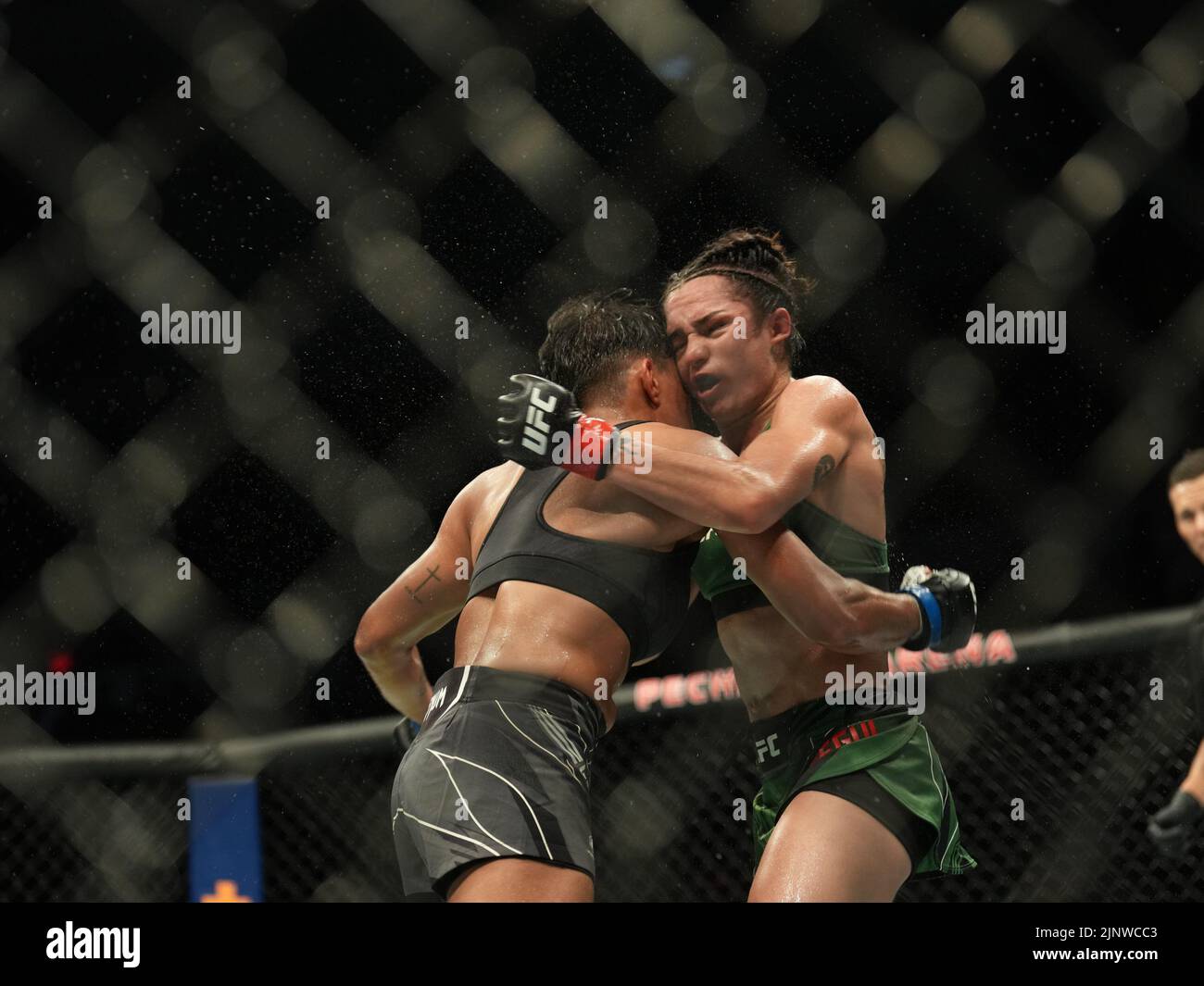 Iasmin lucindo hi-res stock photography and images - Alamy