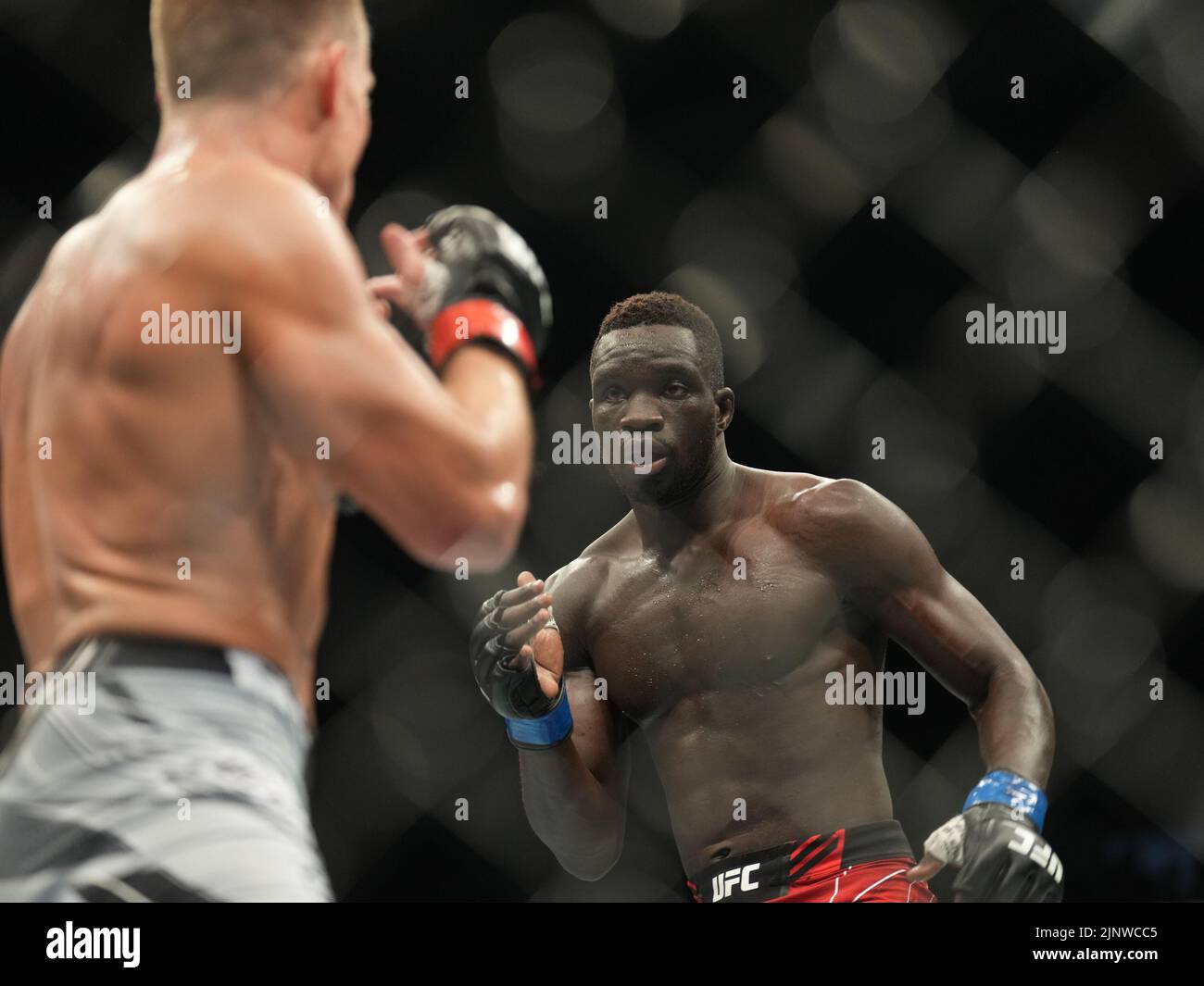 SAN DIEGO, CA - AUGUST 13: (R-L) Nate Landwehr battles David Onama in ...