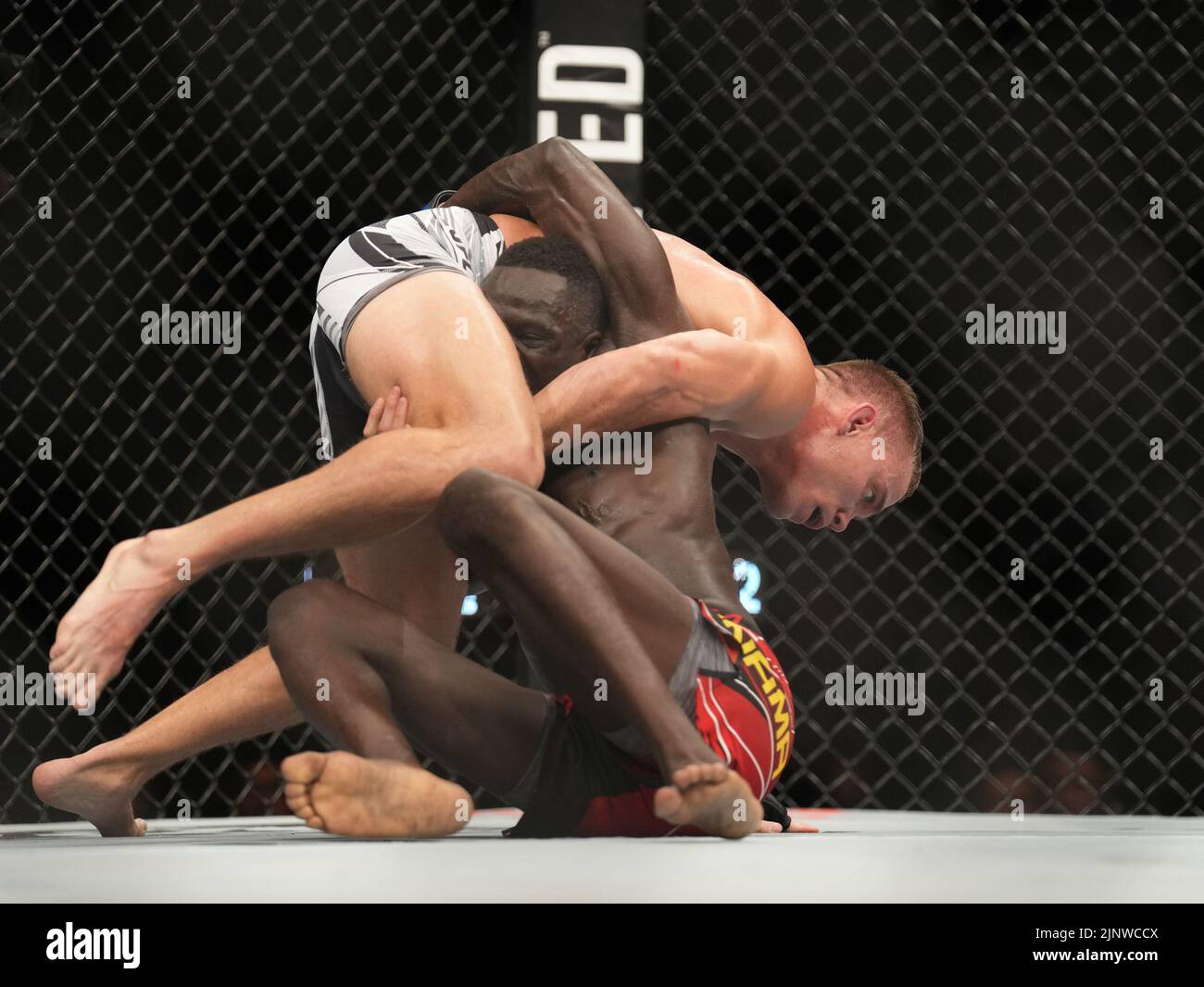 SAN DIEGO, CA - AUGUST 13: David Onama (bottom) controls the body of ...