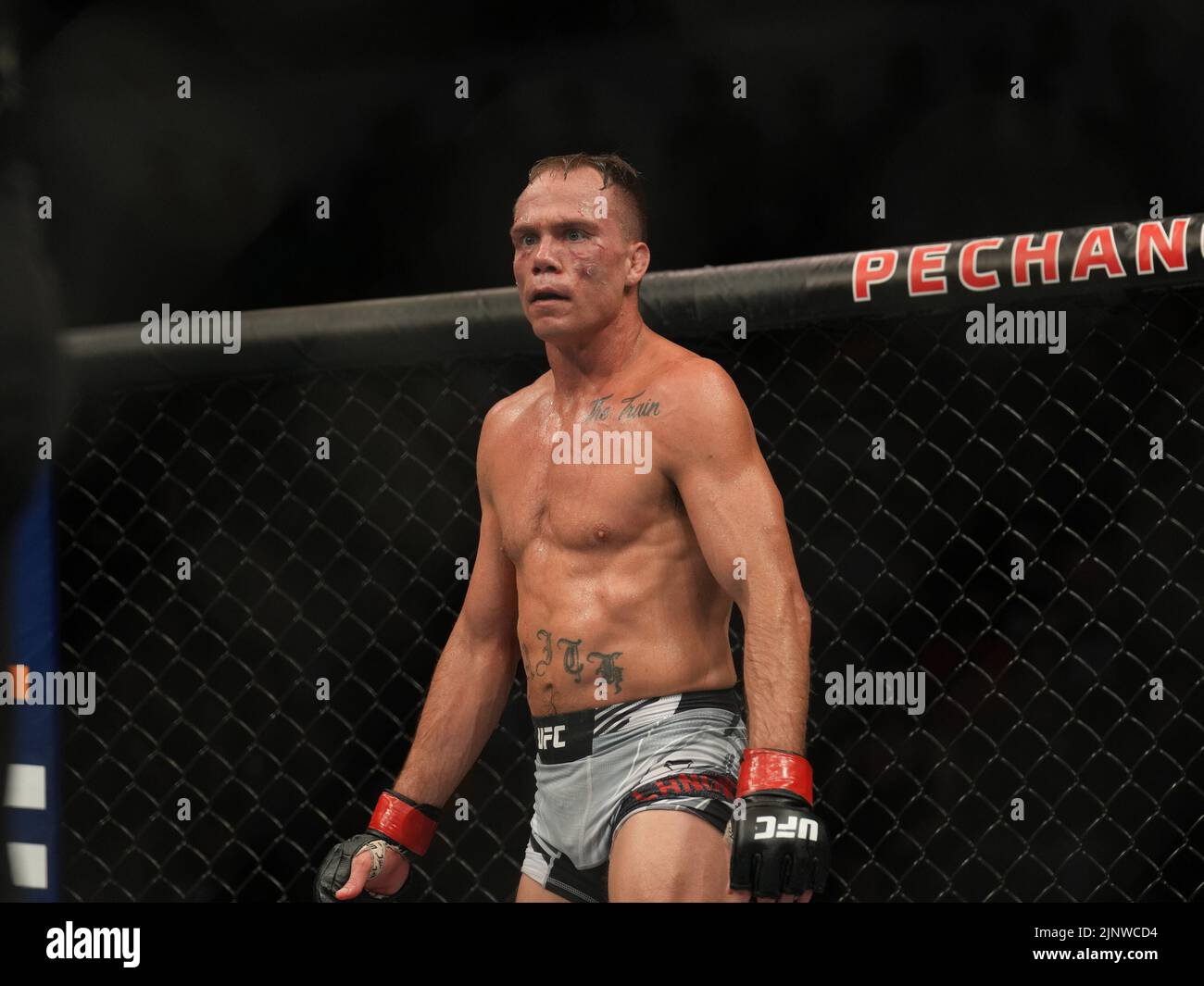 SAN DIEGO, CA - AUGUST 13: Nate Landwehr during the UFC Fight Night ...