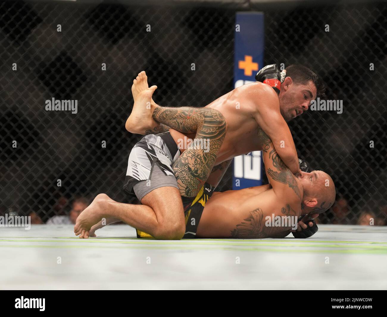 SAN DIEGO, CA - AUGUST 13: Dominic Cruz (top) controls the body of ...