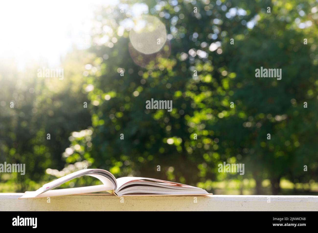 An open book lies on a bench on a sunny summer day in the park.Side ...