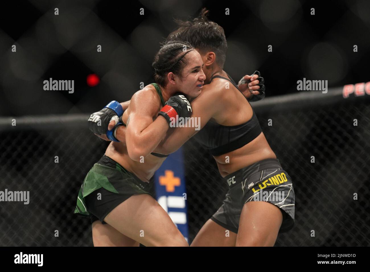 August 13, 2022, San Diego, California, San Diego, CA, United States ...