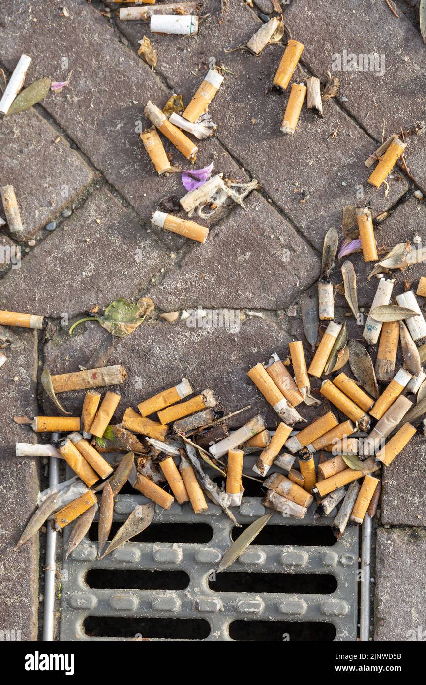 The Hague, The Netherlands - October 2 2021: Discarded smoked cigarette ...