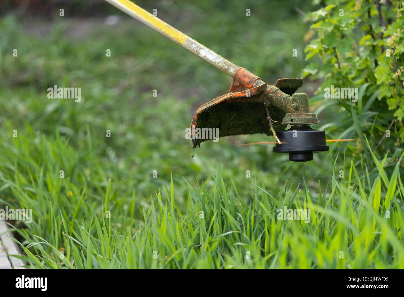 Car trimmer hi-res stock photography and images - Alamy