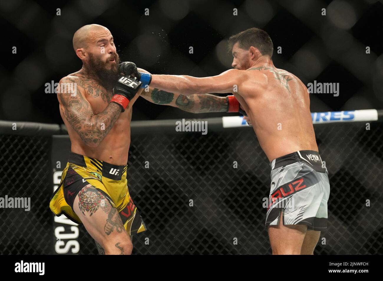 Dominic cruz hi-res stock photography and images - Alamy