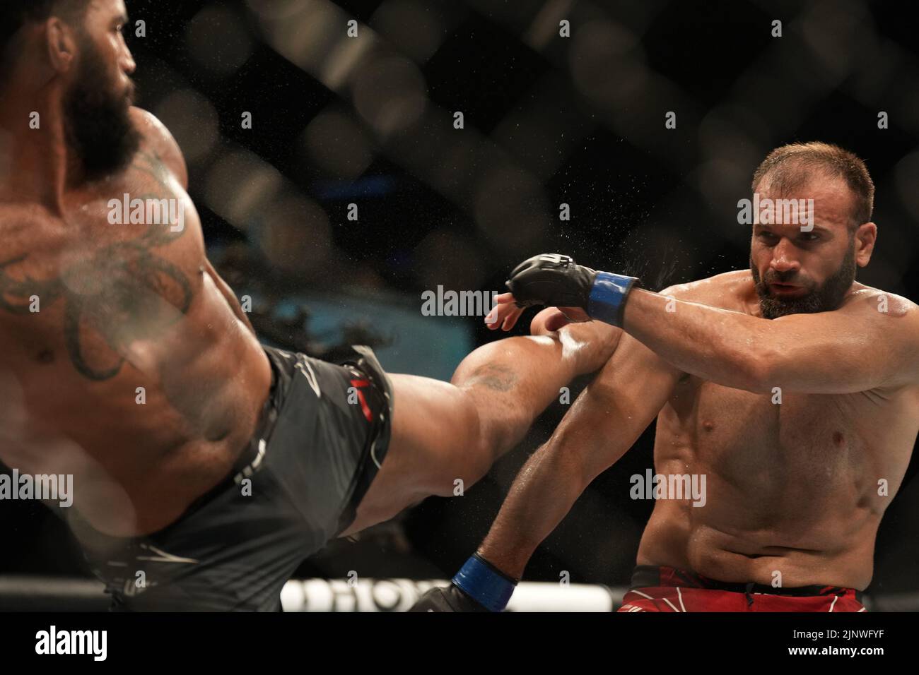 August 13, 2022, San Diego, California, San Diego, CA, United States ...