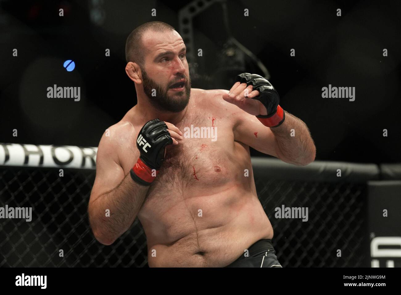 Martin buday hi-res stock photography and images - Alamy