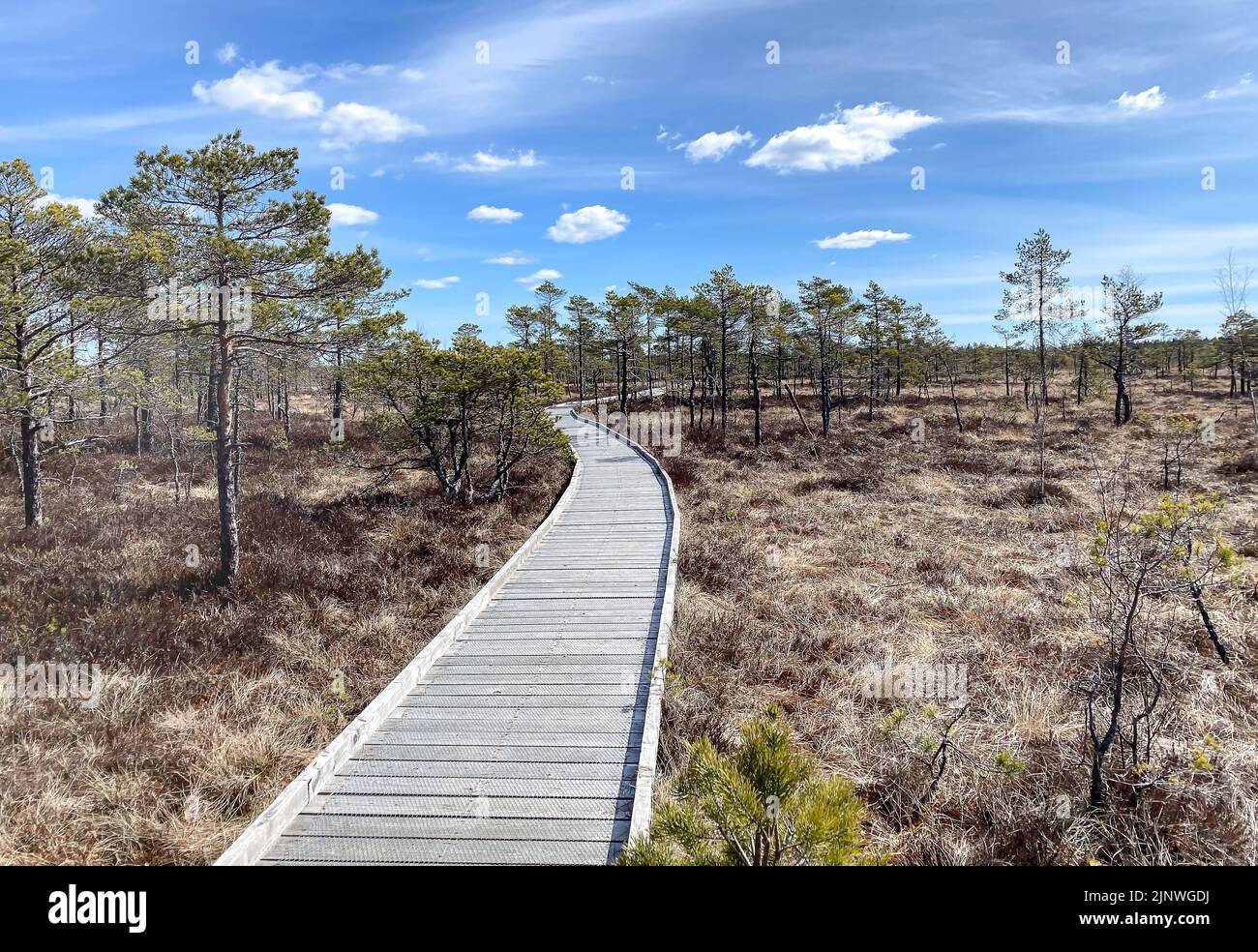 A wooden pole with an indicator of the direction and distance of a ...