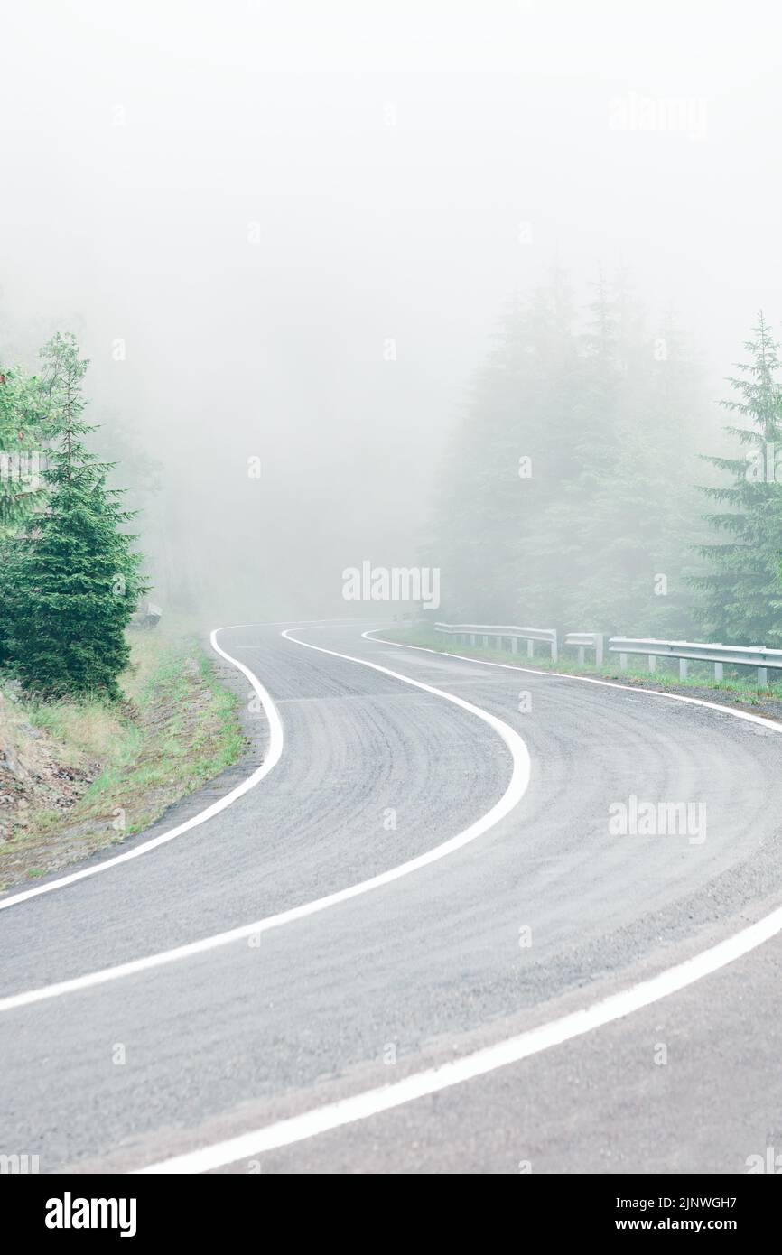 Mountain drive through pines winding hi-res stock photography and ...