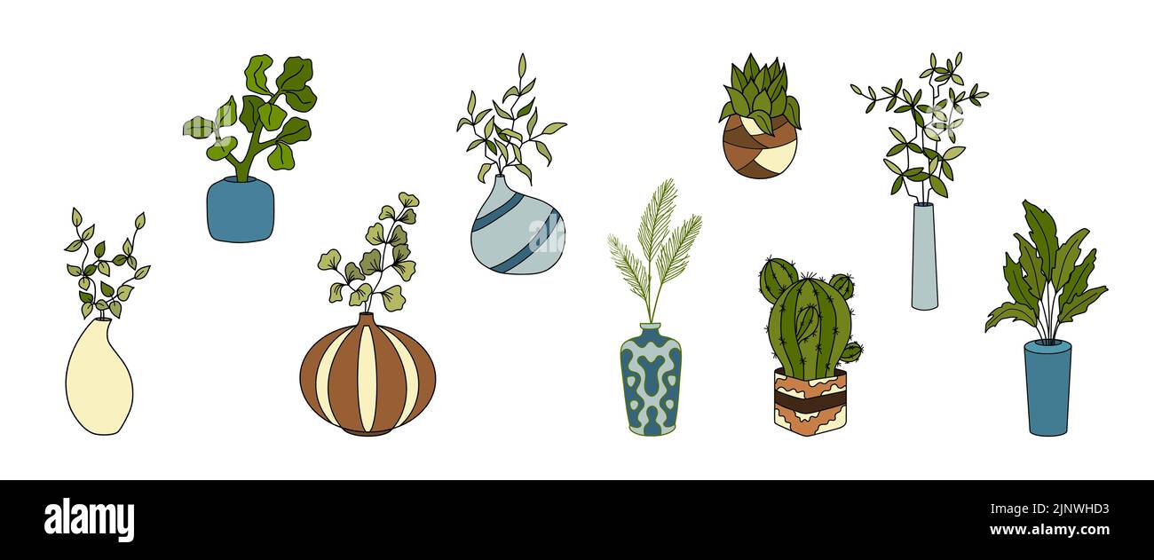 House plants, interior decor, set with vector illustrations of flowers ...