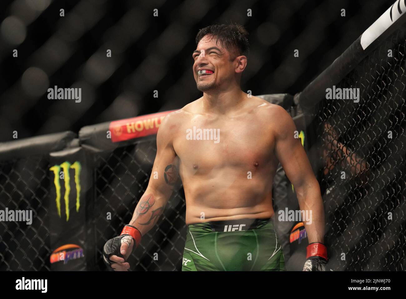 August 13, 2022, San Diego, California, San Diego, CA, United States ...