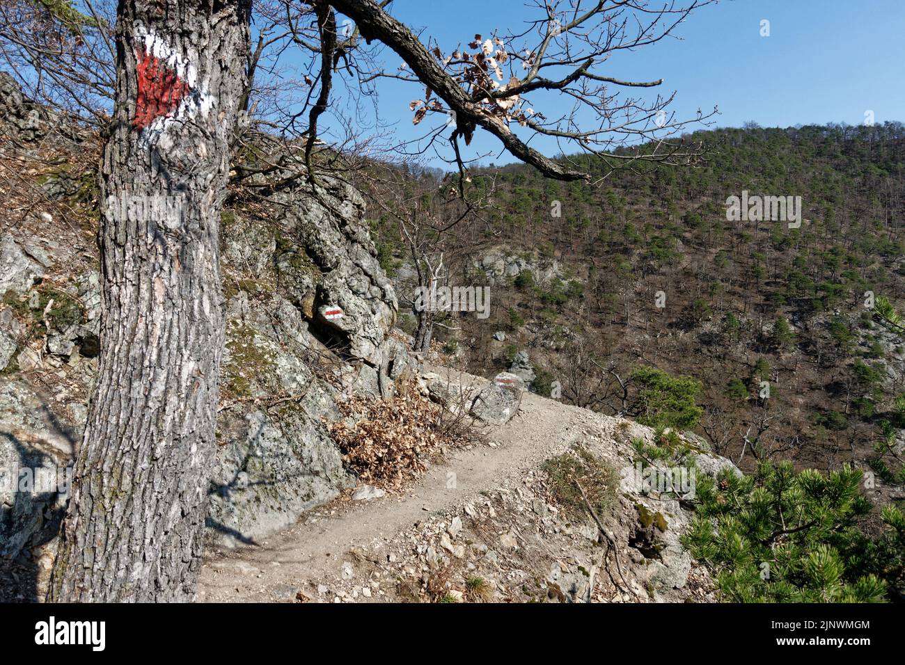 Narrow hiking trail in a steep slope hi-res stock photography and ...