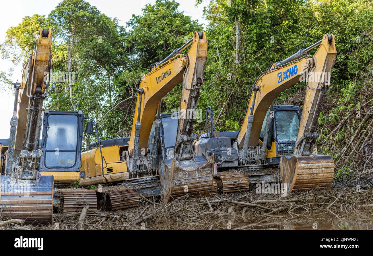 Palm trees cleared burn hi-res stock photography and images - Alamy