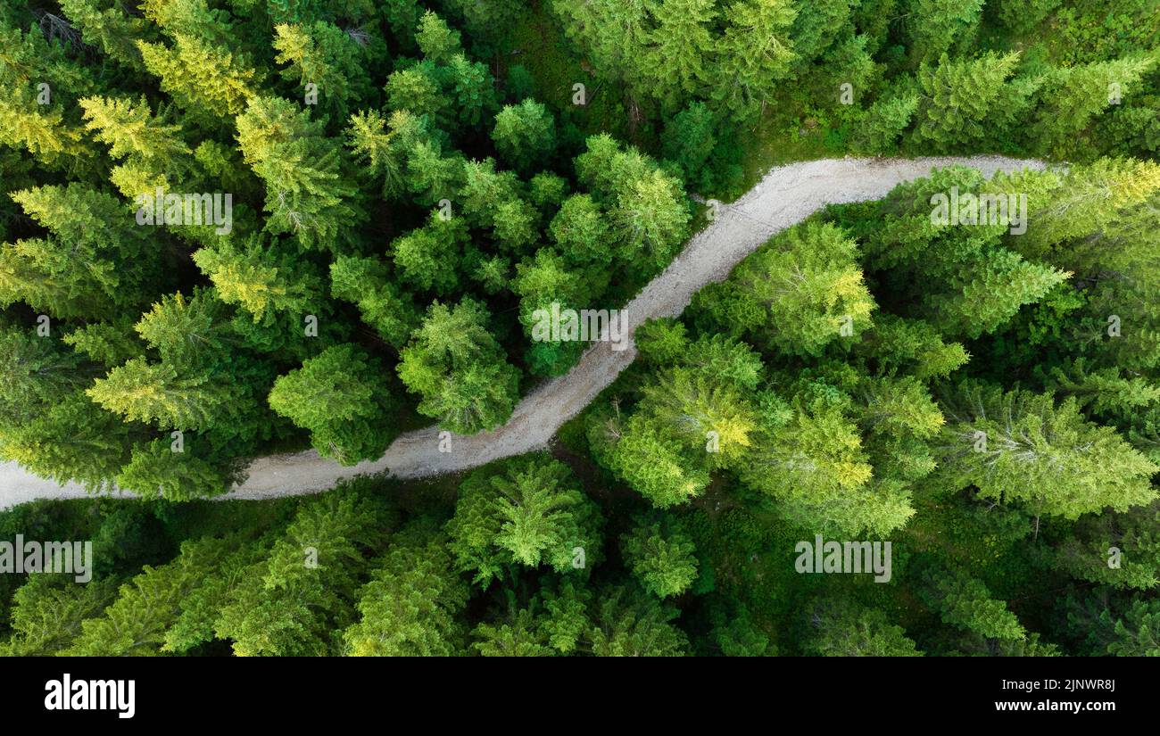 View from above, stunning aerial view of a beautiful mountain forest ...