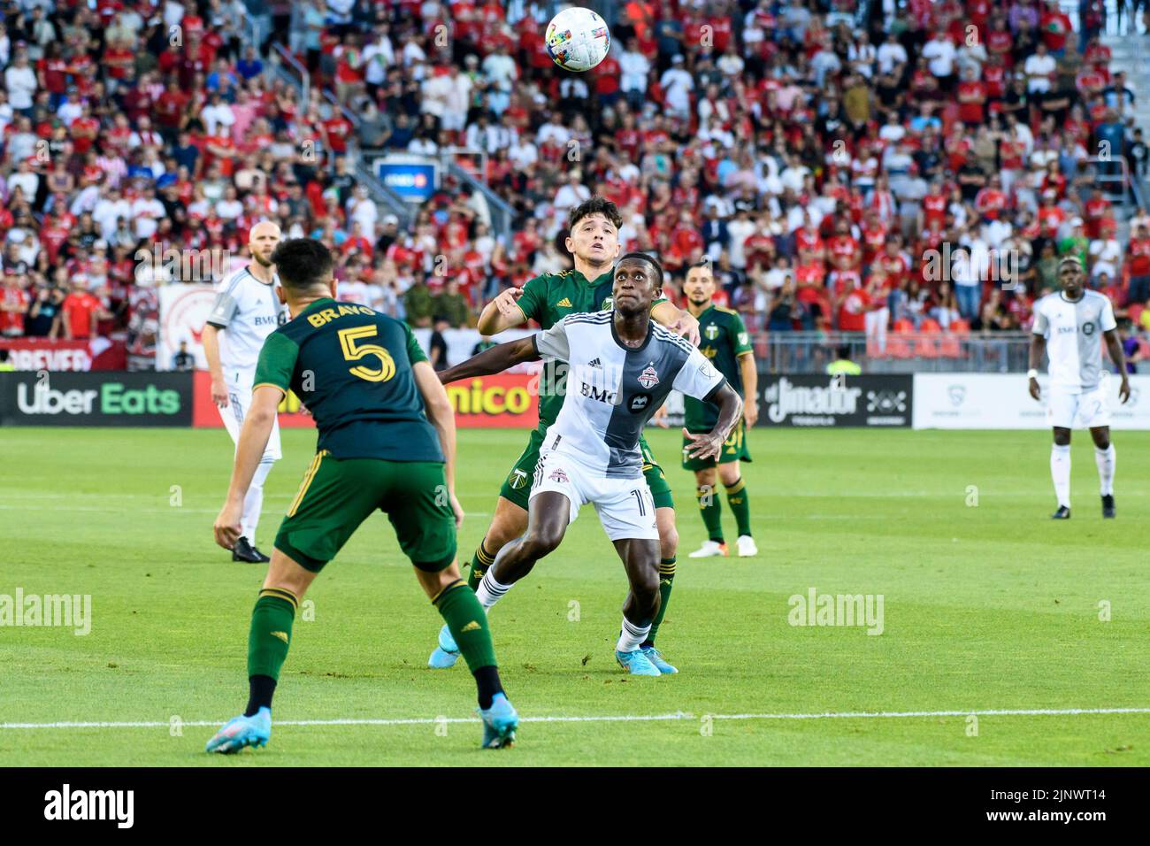 David ayala hi-res stock photography and images - Alamy