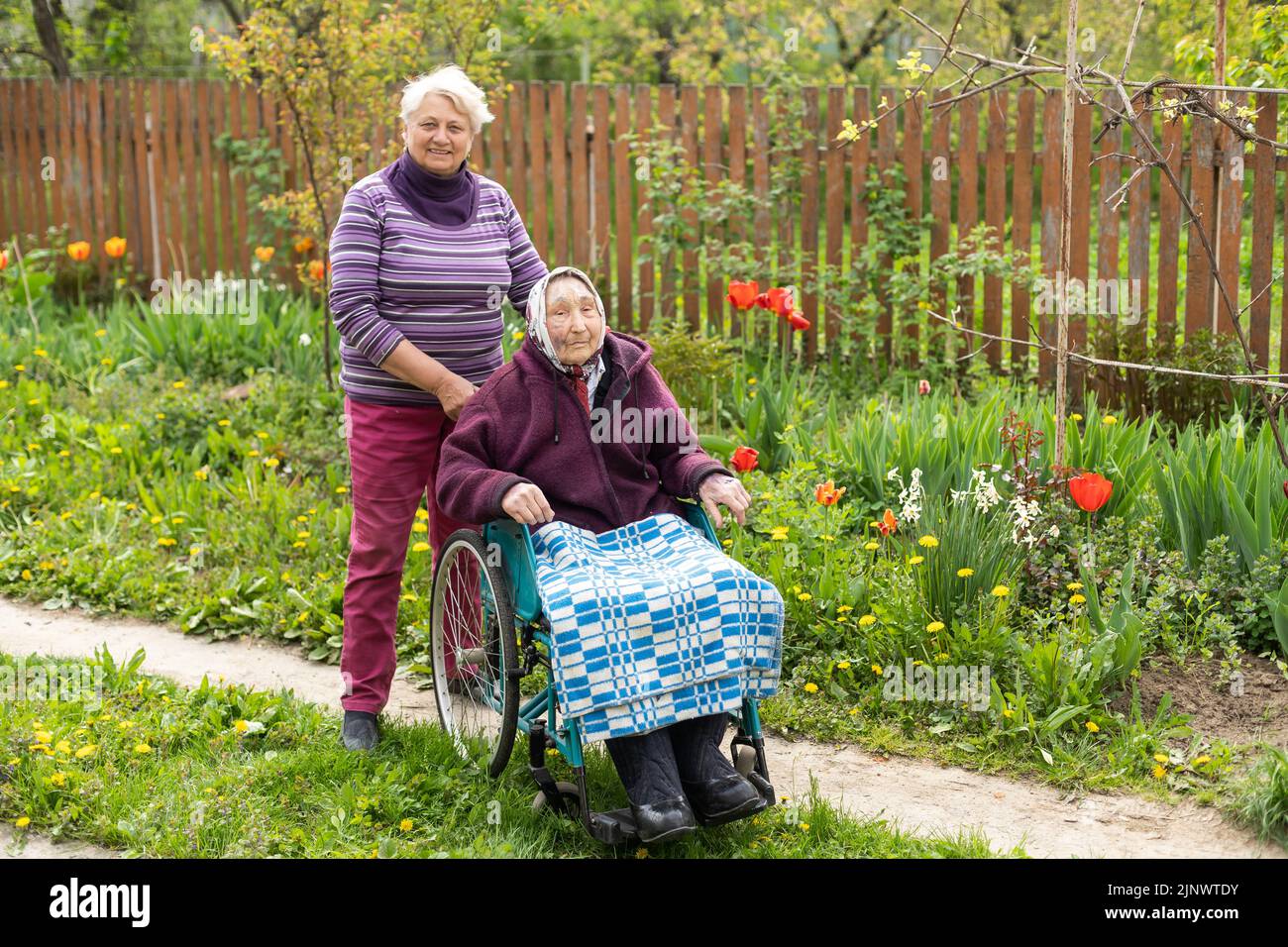 Disabled senior woman and nurse in park Stock Photo - Alamy