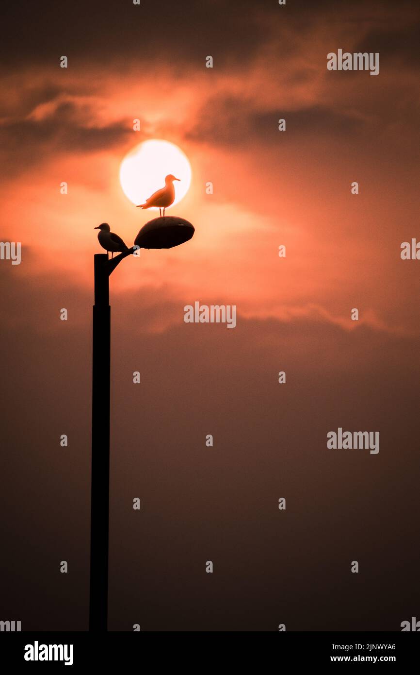 Larbert loch hi-res stock photography and images - Alamy