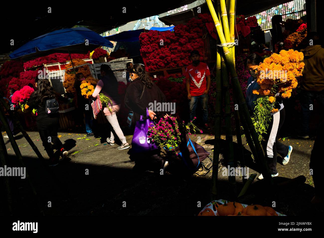Mexican women carry bunches of marigold flowers (Flor de Muertos ...