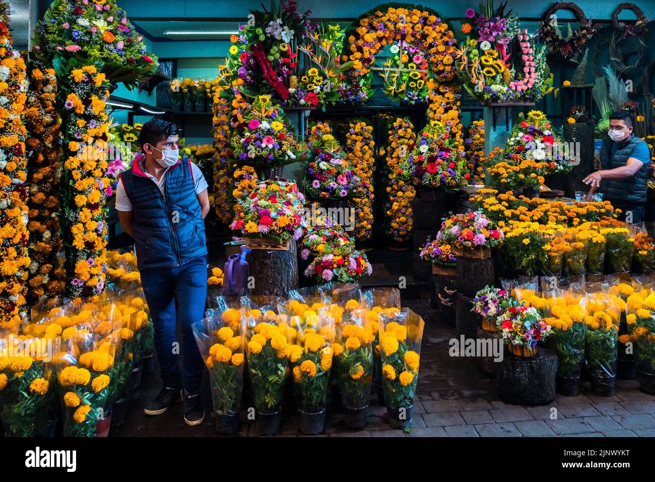 Mexican florists sell marigold flowers (Flor de Muertos) for the Day of ...