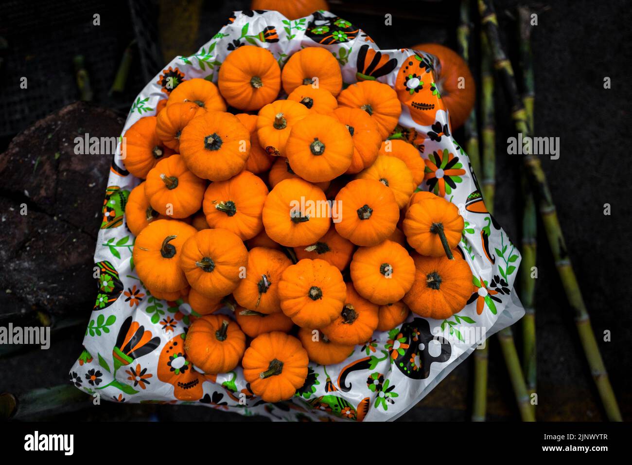 Mexican (Calabaza) pumpkins are seen sold for the Day of the Dead ...