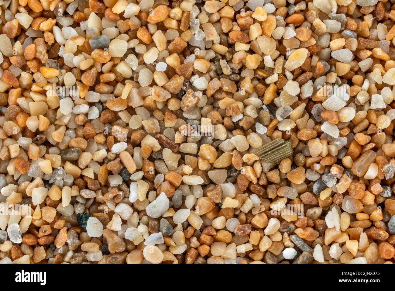 Sea sand (Ghajn Tuffieha beach, Malta) with reddish orange particles ...