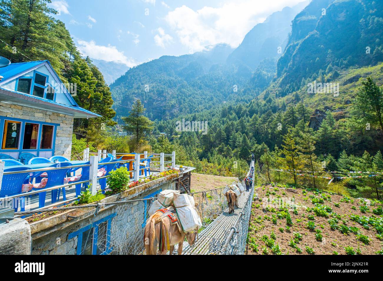 Tourist and Nepali walking from Namche bazaar to Lukla with a group of ...