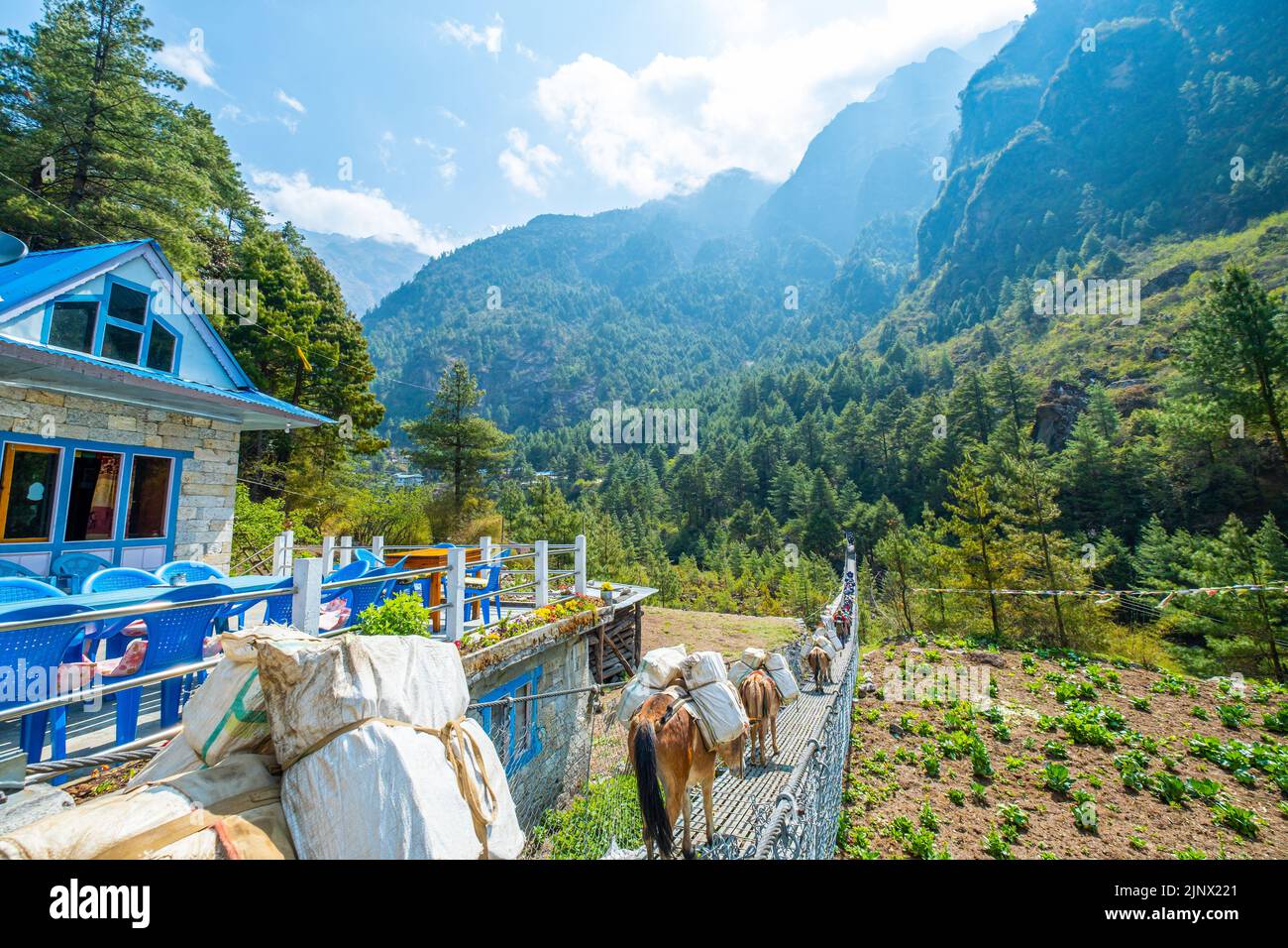 Tourist and Nepali walking from Namche bazaar to Lukla with a group of ...