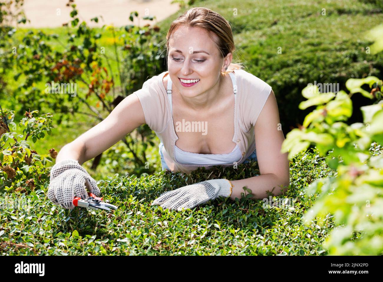 Woman trimming hedge hi-res stock photography and images - Alamy