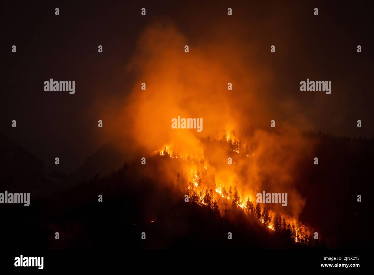 Forest wildfire at night a natural disaster Stock Photo - Alamy