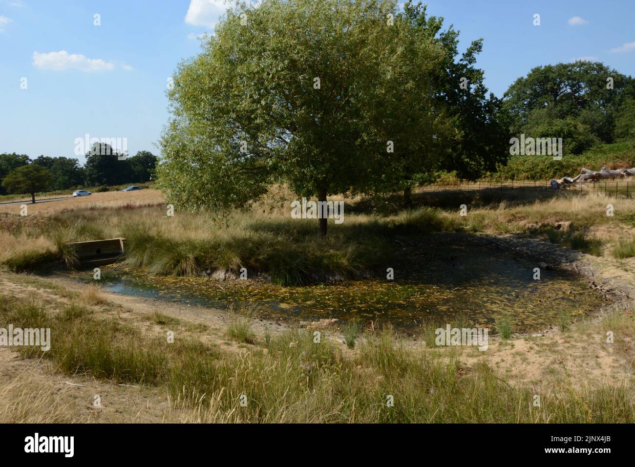Disappearing pond hi-res stock photography and images - Alamy