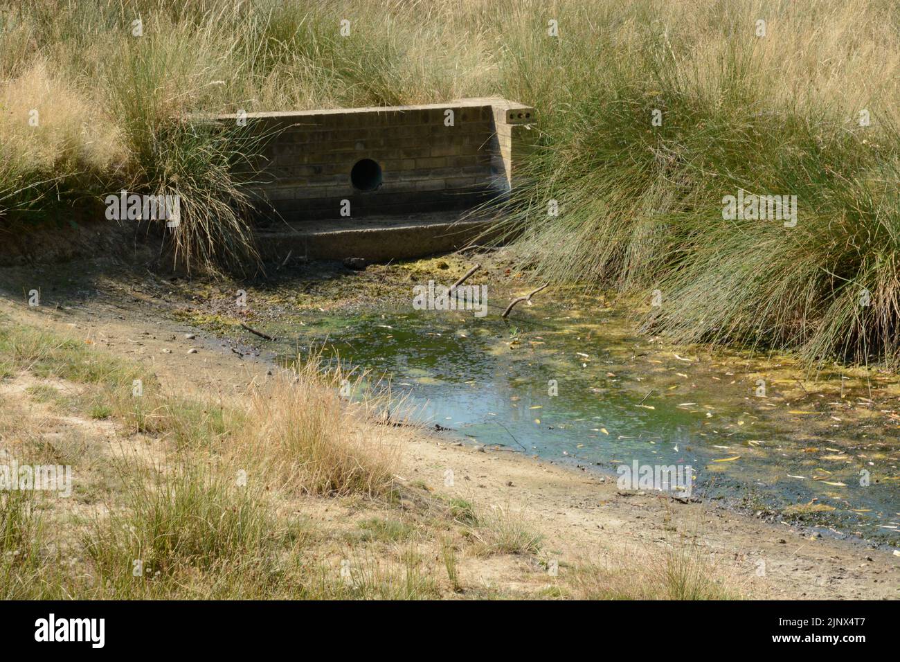 A pond in Richmond Park that is slowly disappearing in the heatwave of ...