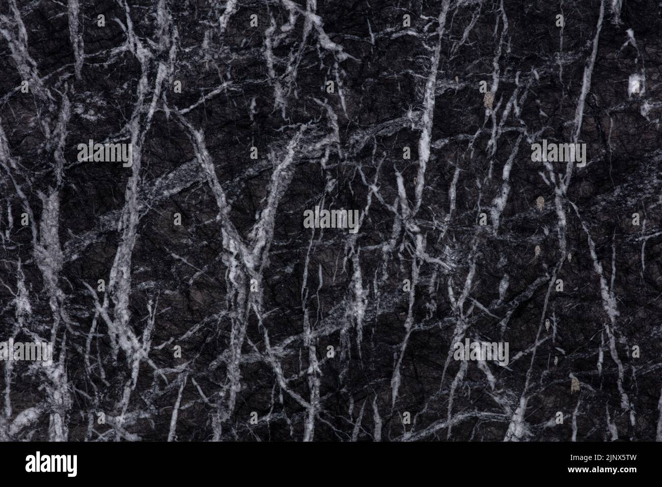 Grigio Carnico Marble background, stylish texture for personal design ...