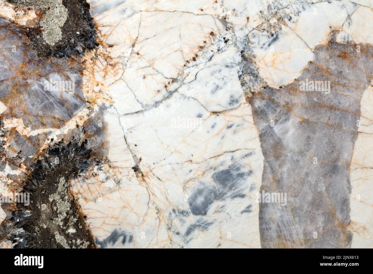 Quartzite background in elegant light colors for your new interior ...