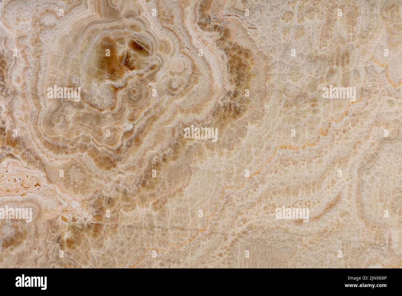 Onice Cappuccino texture, elegant background in beautiful beige. Slab ...