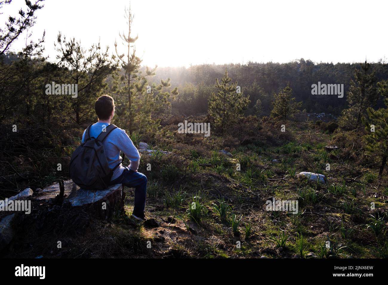 Hiker man resting while watching the sunset sitting on a stump in the ...